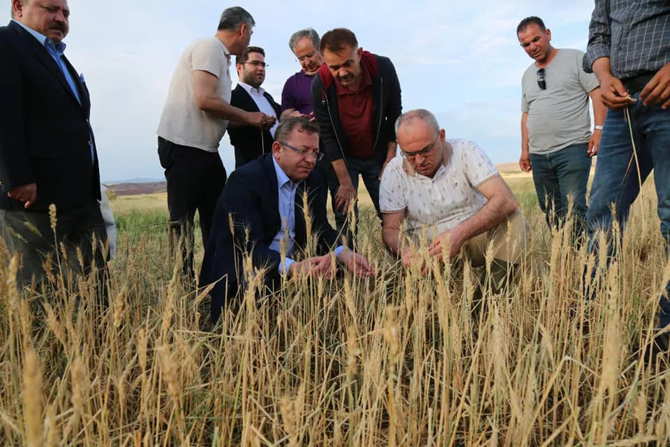 Vali Polat, dolu zararı olan bölgeleri inceledi - Yeniufuk Gazetesi